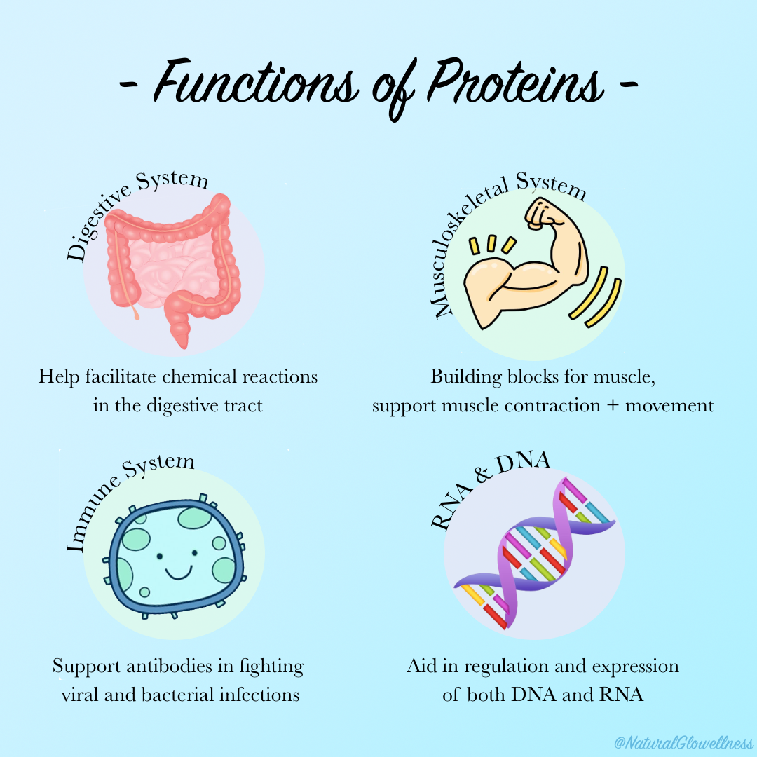 Proteins: Why You Should Choose Plant-Based Sources – Natural Glow Wellness